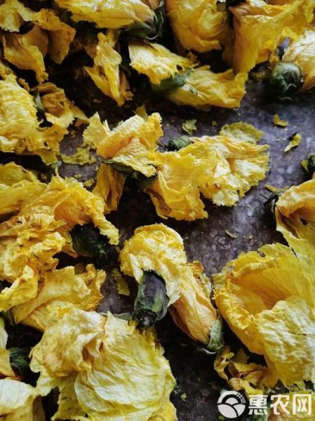 黄蜀葵多少钱一斤_黄蜀葵价格行情-第3张图片-山城妙识 黄蜀葵多少钱一斤_黄蜀葵价格行情-第3张图片-山城妙识