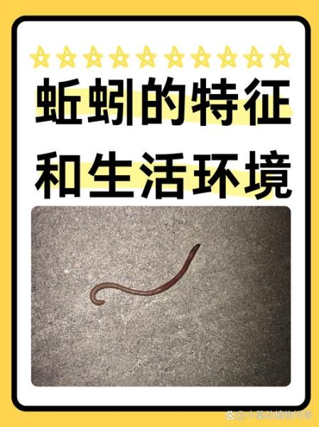 蚯蚓的拼音怎么写_蚯蚓的拼音声调怎么读-第2张图片-山城妙识 蚯蚓的拼音怎么写_蚯蚓的拼音声调怎么读-第2张图片-山城妙识