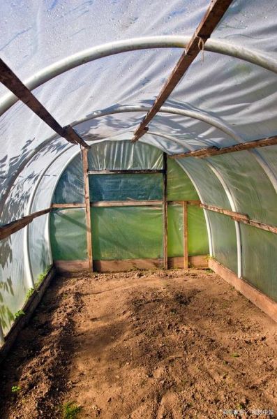 鸽子养殖大棚怎么建_鸽子大棚设计要点-第2张图片-山城妙识