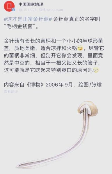 银针菇和金针菇哪个好_银针菇和金针菇的区别-第2张图片-山城妙识 银针菇和金针菇哪个好_银针菇和金针菇的区别-第2张图片-山城妙识