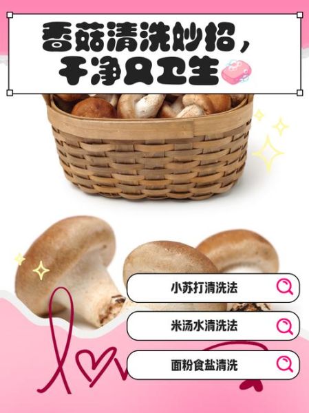 香菇怎么泡发_香菇怎么清洗才干净-第2张图片-山城妙识