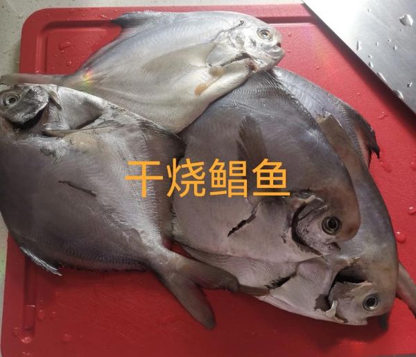干烧海鲳鱼怎么做_海鲳鱼干烧技巧-第2张图片-山城妙识