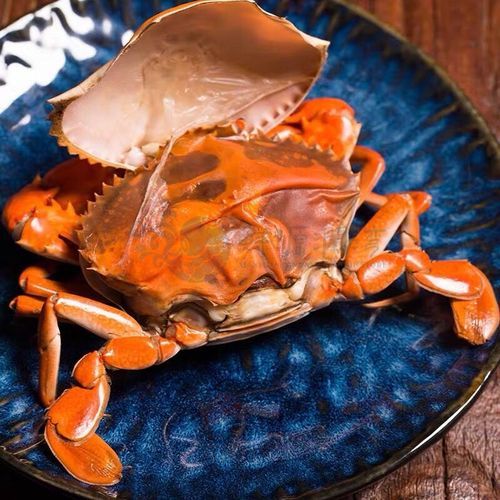 青蟹为什么要杀了再煮_活蟹直接下锅的危害-第1张图片-山城妙识 青蟹为什么要杀了再煮_活蟹直接下锅的危害-第1张图片-山城妙识