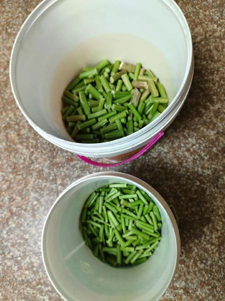 苋菜梗的功效与作用_苋菜梗怎么吃最营养-第2张图片-山城妙识