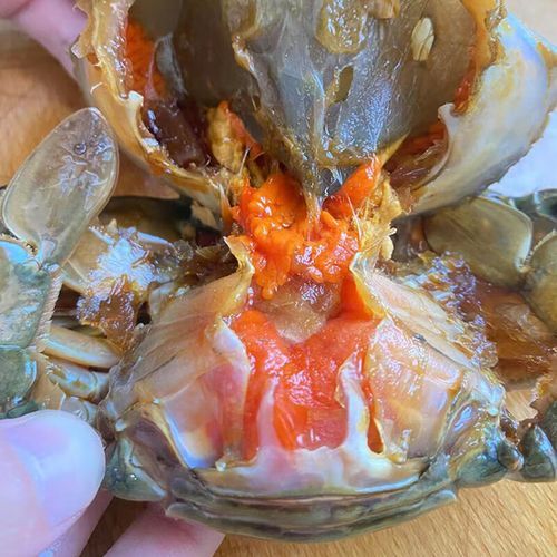 青蟹为什么要杀了再煮_活蟹直接下锅的危害-第3张图片-山城妙识 青蟹为什么要杀了再煮_活蟹直接下锅的危害-第3张图片-山城妙识