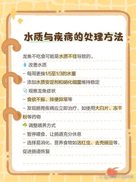 龙鱼不吃食怎么回事_龙鱼拒食原因-第3张图片-山城妙识