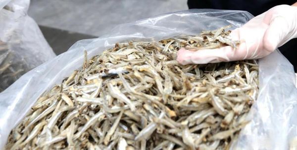 鳀鱼干怎么保存_鳀鱼干营养价值-第2张图片-山城妙识 鳀鱼干怎么保存_鳀鱼干营养价值-第2张图片-山城妙识