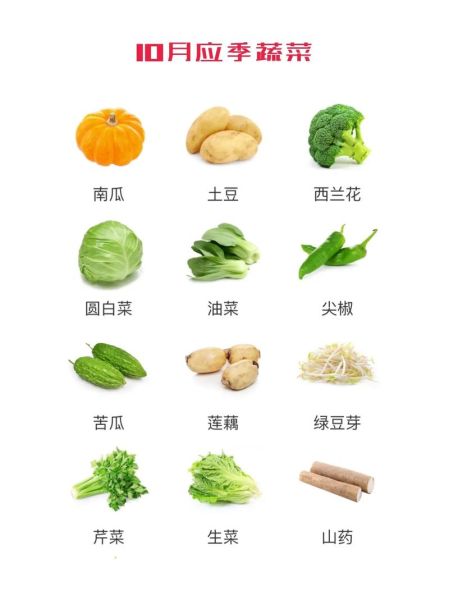 蔬菜种类大全图片_哪些蔬菜适合新手种-第2张图片-山城妙识