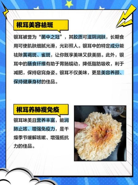 银耳有什么作用与功效_银耳怎么吃最养人-第3张图片-山城妙识
