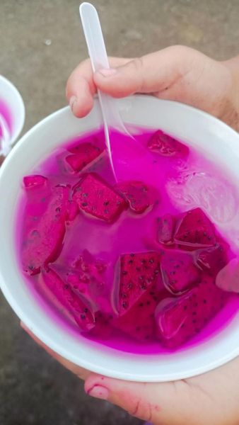 火龙果皮煮水做凉粉可以吗_火龙果皮凉粉怎么做-第3张图片-山城妙识