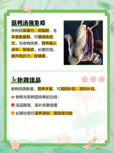 茶树菇老鸭汤什么人不能喝_禁忌人群与食用注意-第1张图片-山城妙识 茶树菇老鸭汤什么人不能喝_禁忌人群与食用注意-第1张图片-山城妙识