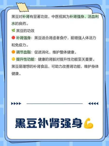 黑豆补肾还是伤肾_中医黑豆对肾的影响-第2张图片-山城妙识
