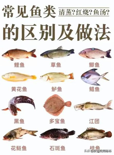 鱼类图片大全_如何识别常见淡水鱼-第2张图片-山城妙识