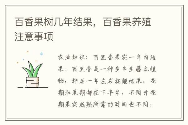 香果树怎么养_香果树几年结果-第1张图片-山城妙识