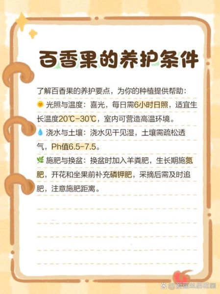 香果树怎么养_香果树几年结果-第2张图片-山城妙识