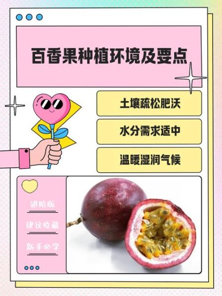 香果树怎么养_香果树几年结果-第3张图片-山城妙识