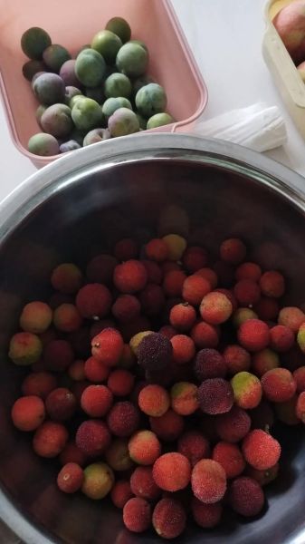 盐腌杨梅怎么做_盐渍杨梅保存多久-第1张图片-山城妙识