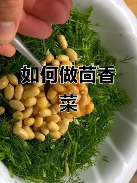 茴香怎么吃_茴香的家常做法大全-第2张图片-山城妙识