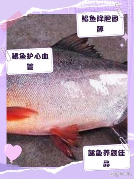 鲳鱼的营养价值及功效与作用_孕妇能吃鲳鱼吗-第1张图片-山城妙识