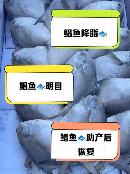鲳鱼的营养价值及功效与作用_孕妇能吃鲳鱼吗-第2张图片-山城妙识