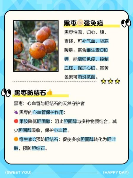 黑枣一天吃多少合适_黑枣的功效与作用一天几颗-第1张图片-山城妙识 黑枣一天吃多少合适_黑枣的功效与作用一天几颗-第1张图片-山城妙识