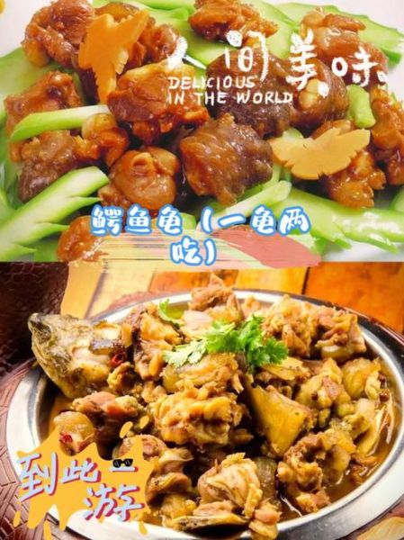 鳄鱼龟怎样做吃最好_鳄鱼龟怎么炖汤最鲜-第1张图片-山城妙识 鳄鱼龟怎样做吃最好_鳄鱼龟怎么炖汤最鲜-第1张图片-山城妙识