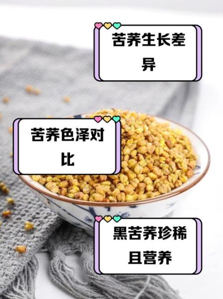 黑苦荞和黄苦荞的区别_哪个更好-第1张图片-山城妙识 黑苦荞和黄苦荞的区别_哪个更好-第1张图片-山城妙识