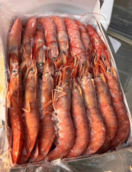 阿根廷红虾能生吃吗_阿根廷红虾刺身安全吗-第3张图片-山城妙识