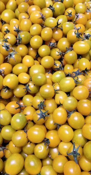 黄柿子能降血糖吗_黄柿子功效与作用禁忌-第3张图片-山城妙识