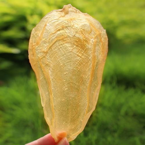 花胶价格多少钱一斤_花胶价格为什么差别大-第1张图片-山城妙识 花胶价格多少钱一斤_花胶价格为什么差别大-第1张图片-山城妙识