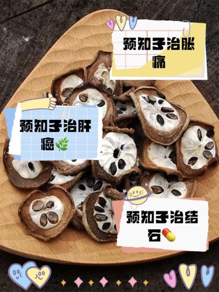 预知子的功效与作用_怎么吃效果最好-第1张图片-山城妙识