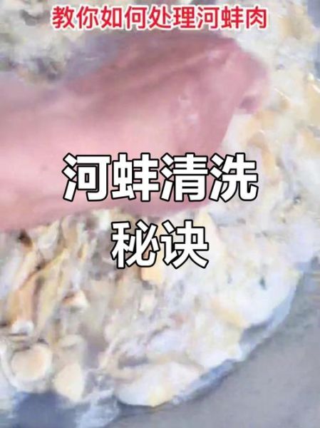 野生河蚌怎么清洗_野生河蚌的做法视频教程-第3张图片-山城妙识 野生河蚌怎么清洗_野生河蚌的做法视频教程-第3张图片-山城妙识