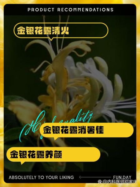 金银花露的功效与作用_金银花露怎么喝效果最好-第2张图片-山城妙识