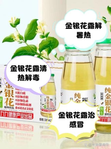 金银花露的功效与作用_金银花露怎么喝效果最好-第1张图片-山城妙识