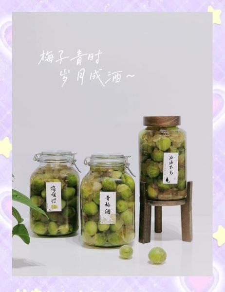 青梅酒怎么泡_青梅酒的做法比例-第1张图片-山城妙识