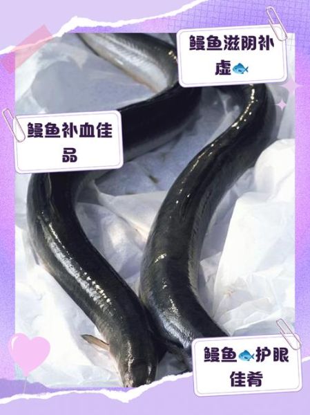 鳗鱼热量高吗_减肥能吃鳗鱼吗-第1张图片-山城妙识