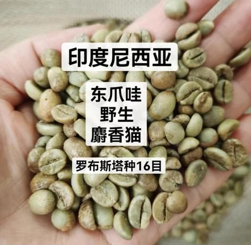 麝香猫咖啡是什么_麝香猫咖啡多少钱一斤-第3张图片-山城妙识