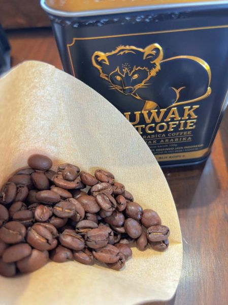 麝香猫咖啡是什么_麝香猫咖啡多少钱一斤-第2张图片-山城妙识