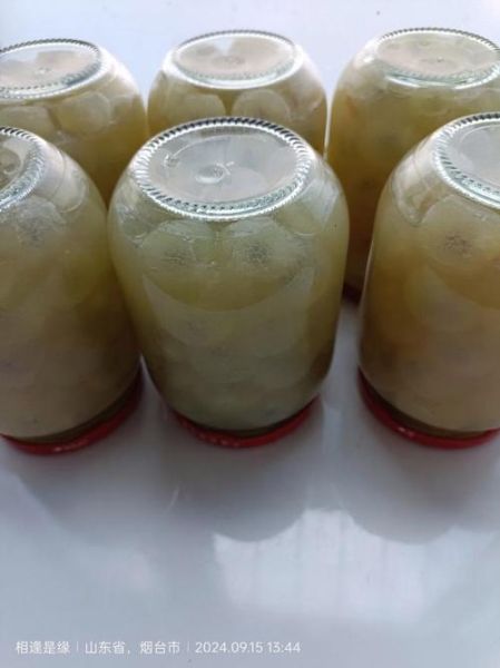 葡萄罐头怎么做_葡萄罐头家常做法-第3张图片-山城妙识