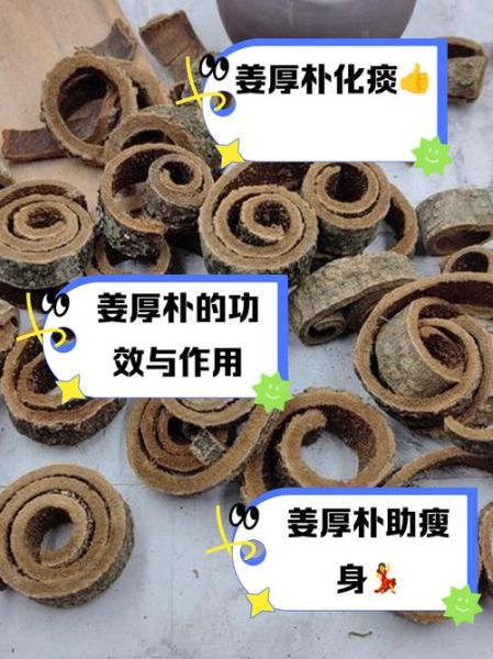 姜厚朴的功效与作用_姜厚朴能治什么病-第1张图片-山城妙识