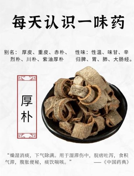 姜厚朴的功效与作用_姜厚朴能治什么病-第3张图片-山城妙识