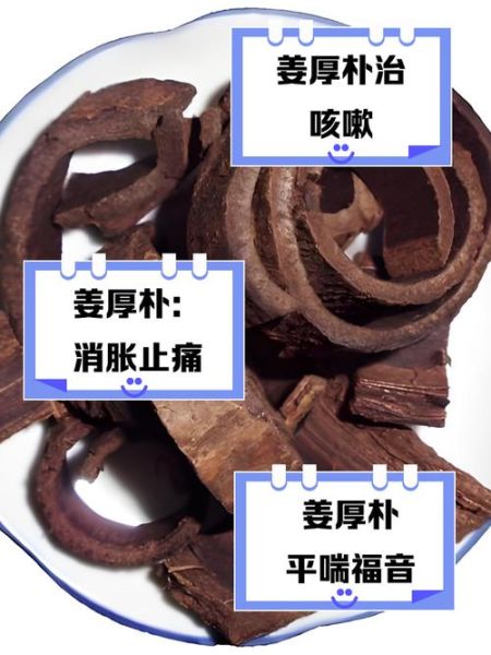 姜厚朴的功效与作用_姜厚朴能治什么病-第2张图片-山城妙识