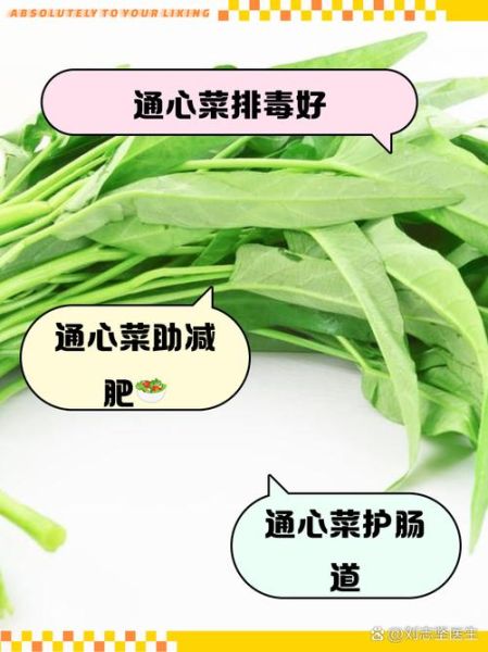通心菜吃多了有什么副作用_通心菜禁忌人群有哪些-第3张图片-山城妙识 通心菜吃多了有什么副作用_通心菜禁忌人群有哪些-第3张图片-山城妙识