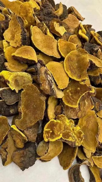 防癌抗癌食物第一名中药_真的有用吗-第1张图片-山城妙识 防癌抗癌食物第一名中药_真的有用吗-第1张图片-山城妙识