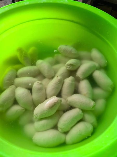 一斤面筋粉出几斤面筋_一斤面筋粉能出多少面筋-第3张图片-山城妙识 一斤面筋粉出几斤面筋_一斤面筋粉能出多少面筋-第3张图片-山城妙识