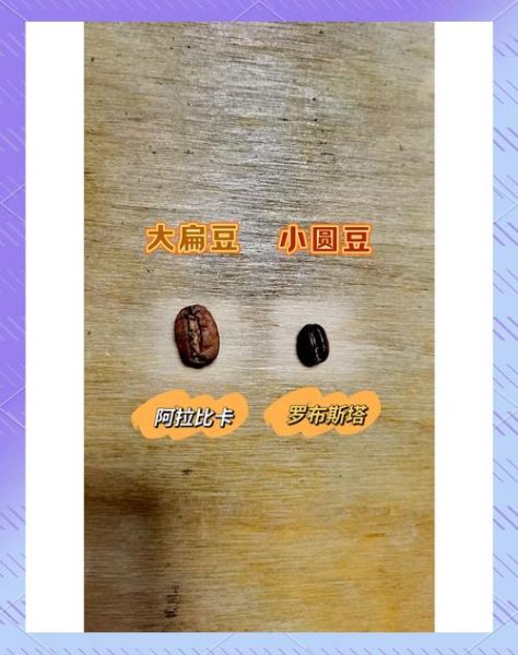 阿拉比卡咖啡豆哪个牌子好喝_如何区分真假阿拉比卡咖啡豆-第1张图片-山城妙识 阿拉比卡咖啡豆哪个牌子好喝_如何区分真假阿拉比卡咖啡豆-第1张图片-山城妙识