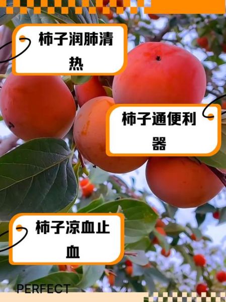 红柿子的功效与作用禁忌_哪些人不能吃-第3张图片-山城妙识