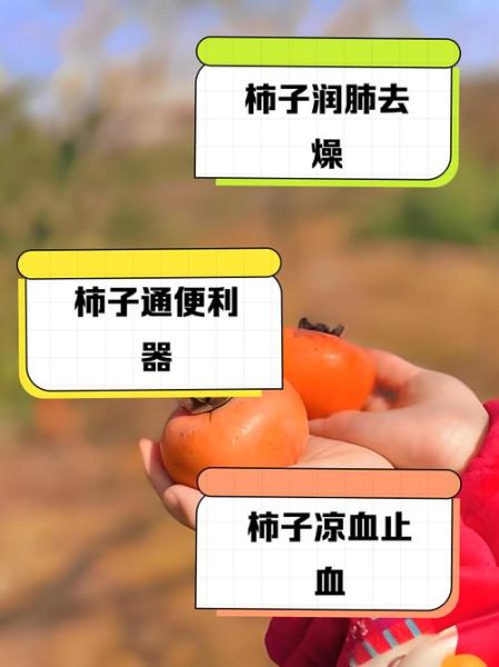 红柿子的功效与作用禁忌_哪些人不能吃-第2张图片-山城妙识