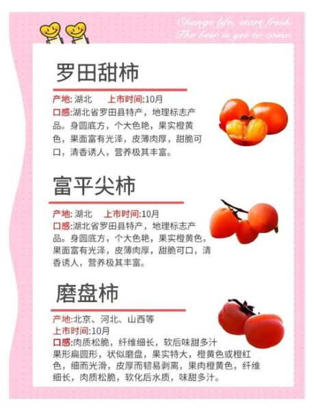 红柿子的功效与作用禁忌_哪些人不能吃-第1张图片-山城妙识