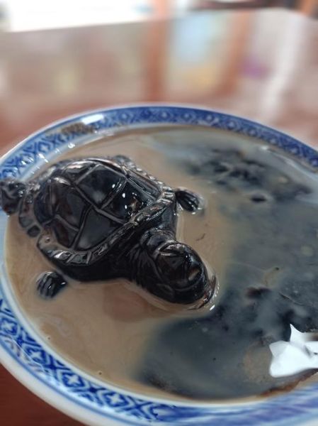 龟苓膏哪个牌子好_龟苓膏十大品牌排行榜-第3张图片-山城妙识